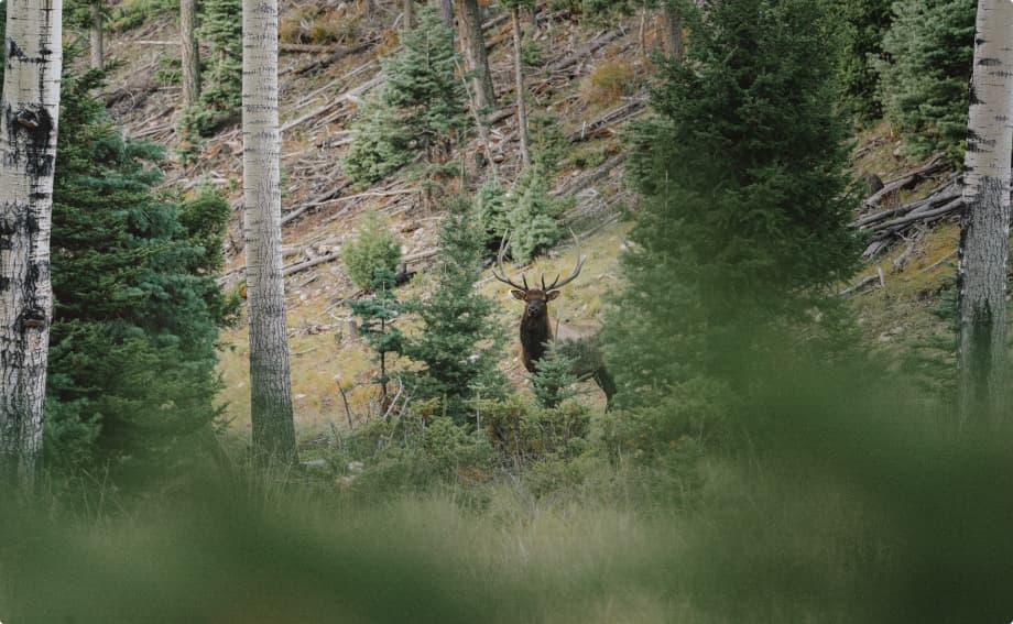 San Luis Valley, Colorado | Trinchera Ranch
