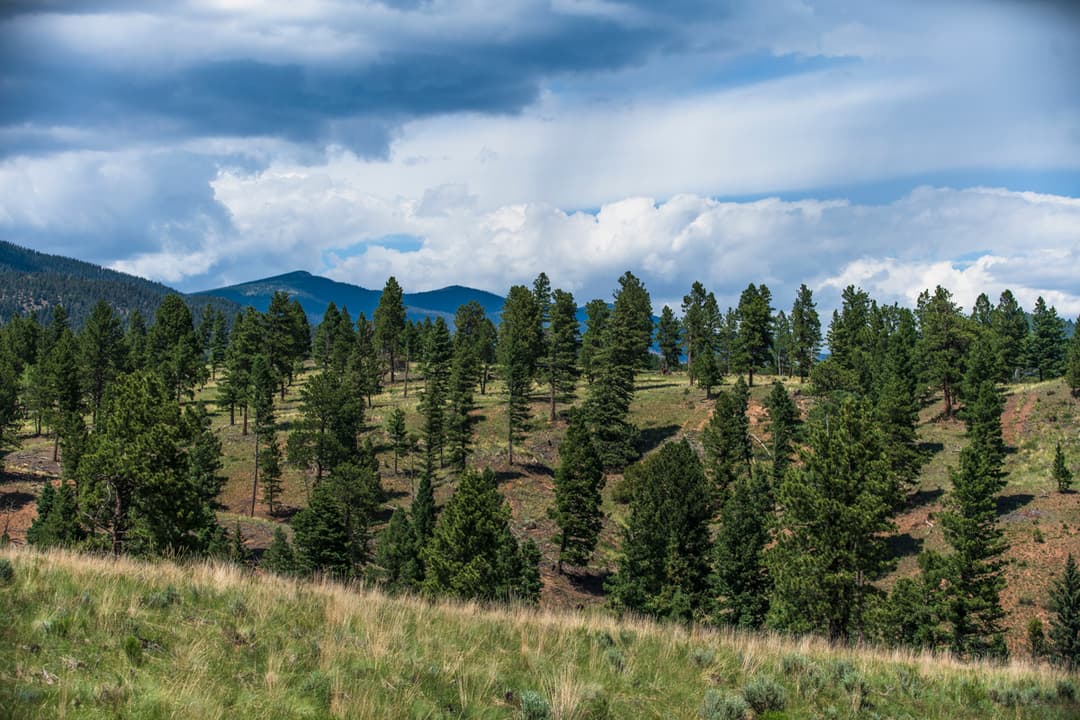 Active Land Stewardship | Trinchera Ranch